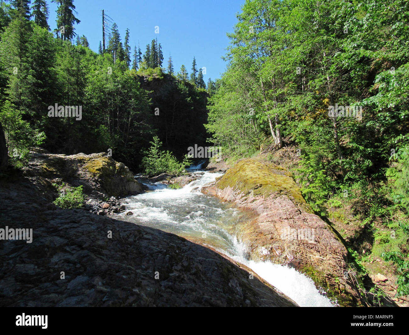 Lava Canyon Trail in Washington Stock Photo - Alamy