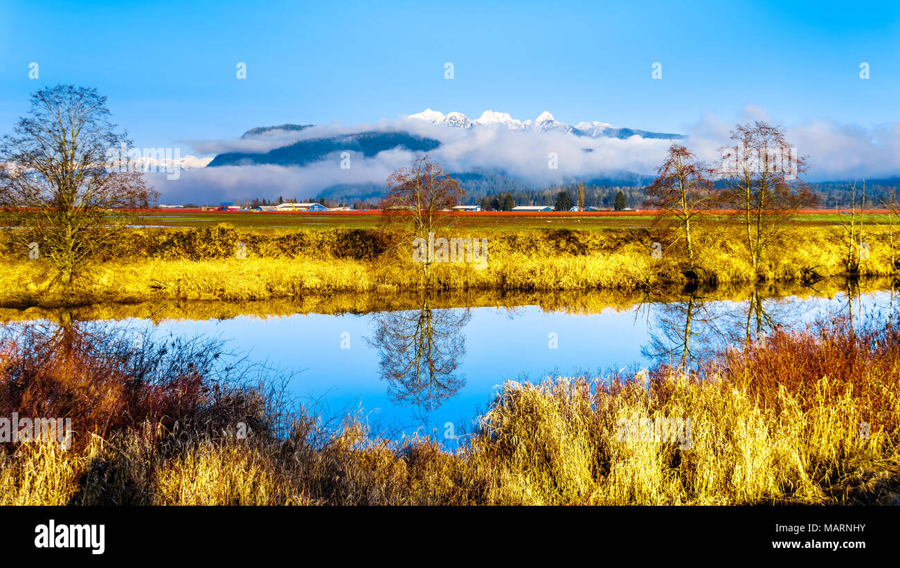 Reflections of the smooth surface of Alouette River in the Pitt Polder ...