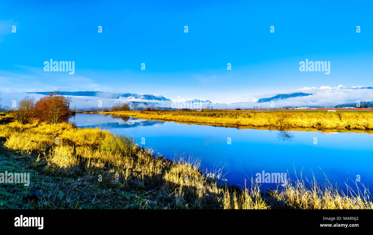 Reflections of the smooth surface of Alouette River in the Pitt Polder ...
