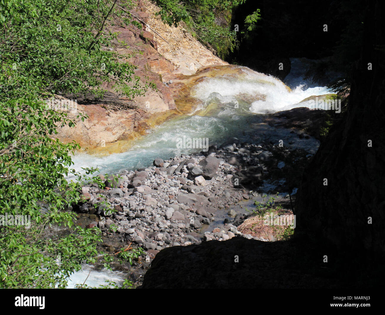 Lava Canyon Trail in Washington Stock Photo - Alamy