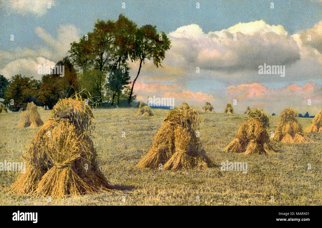 Sheaves illustration hi-res stock photography and images - Alamy