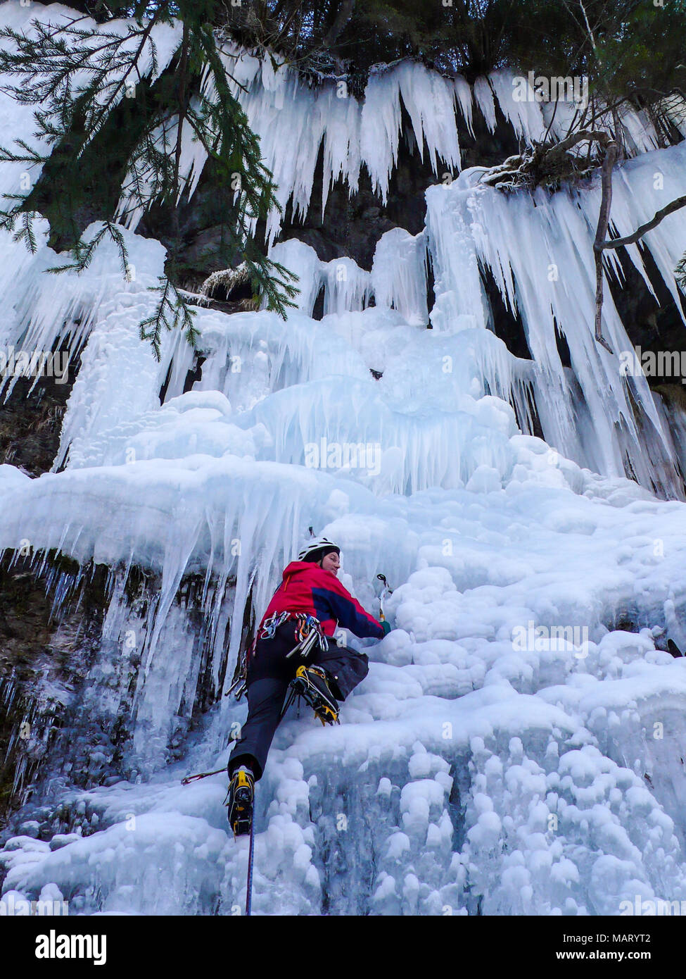 mountain guide ice climbing in Switzerland Stock Photo - Alamy