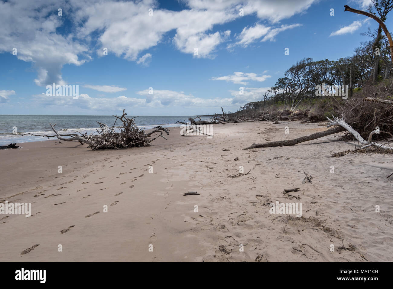 Litter beach florida hi-res stock photography and images - Alamy