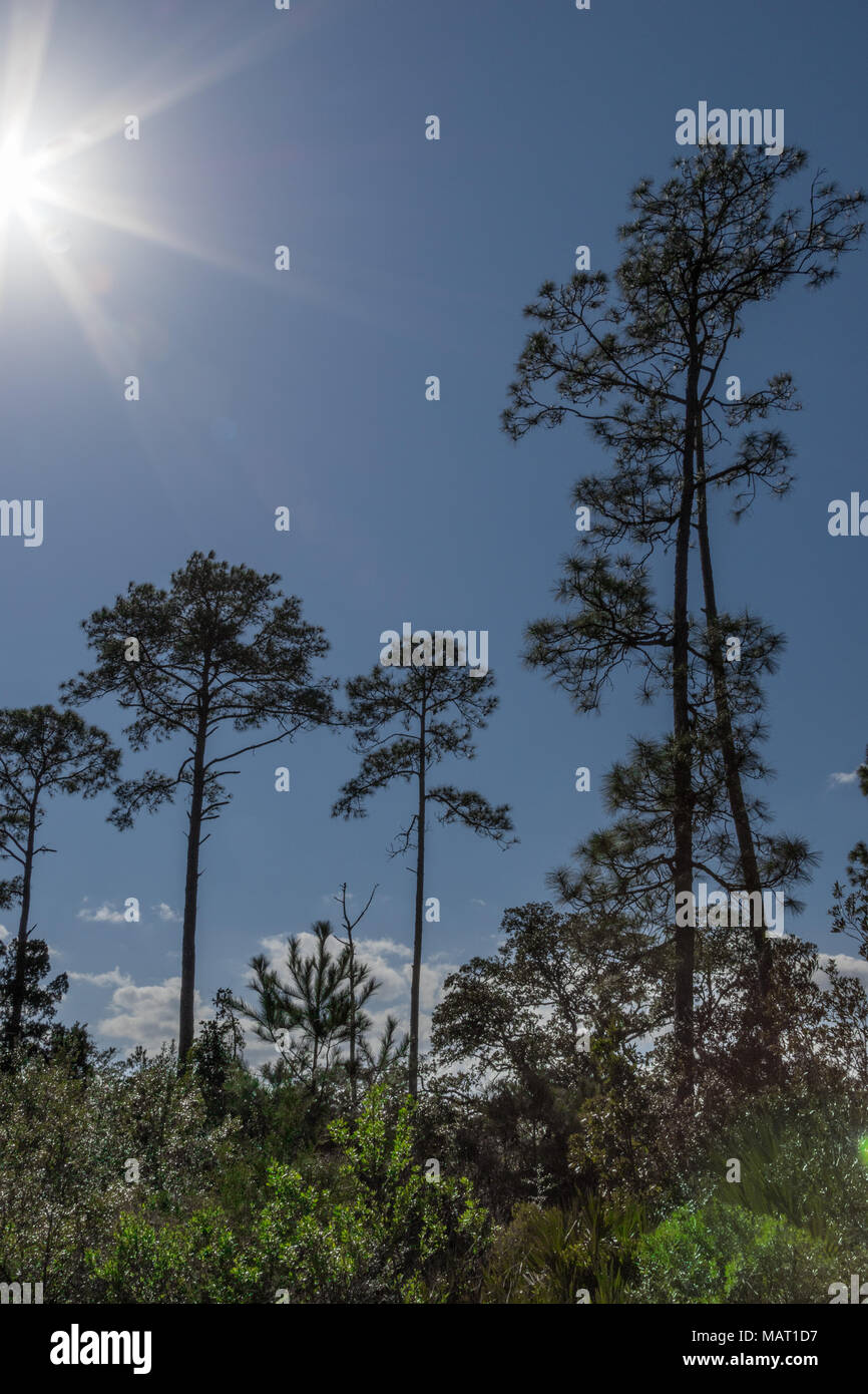 Castaway hi-res stock photography and images - Alamy