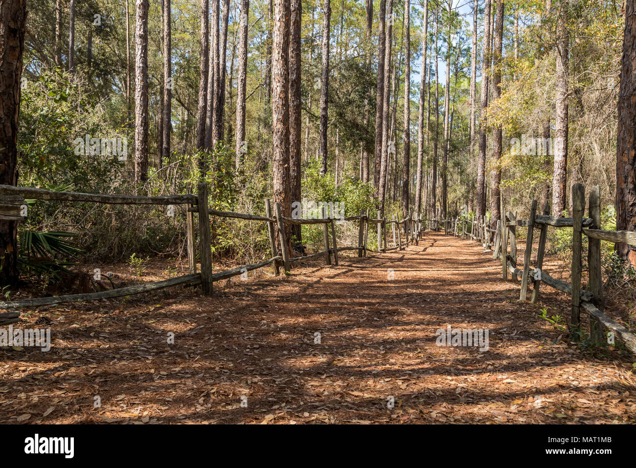 Chesser homestead hi-res stock photography and images - Alamy