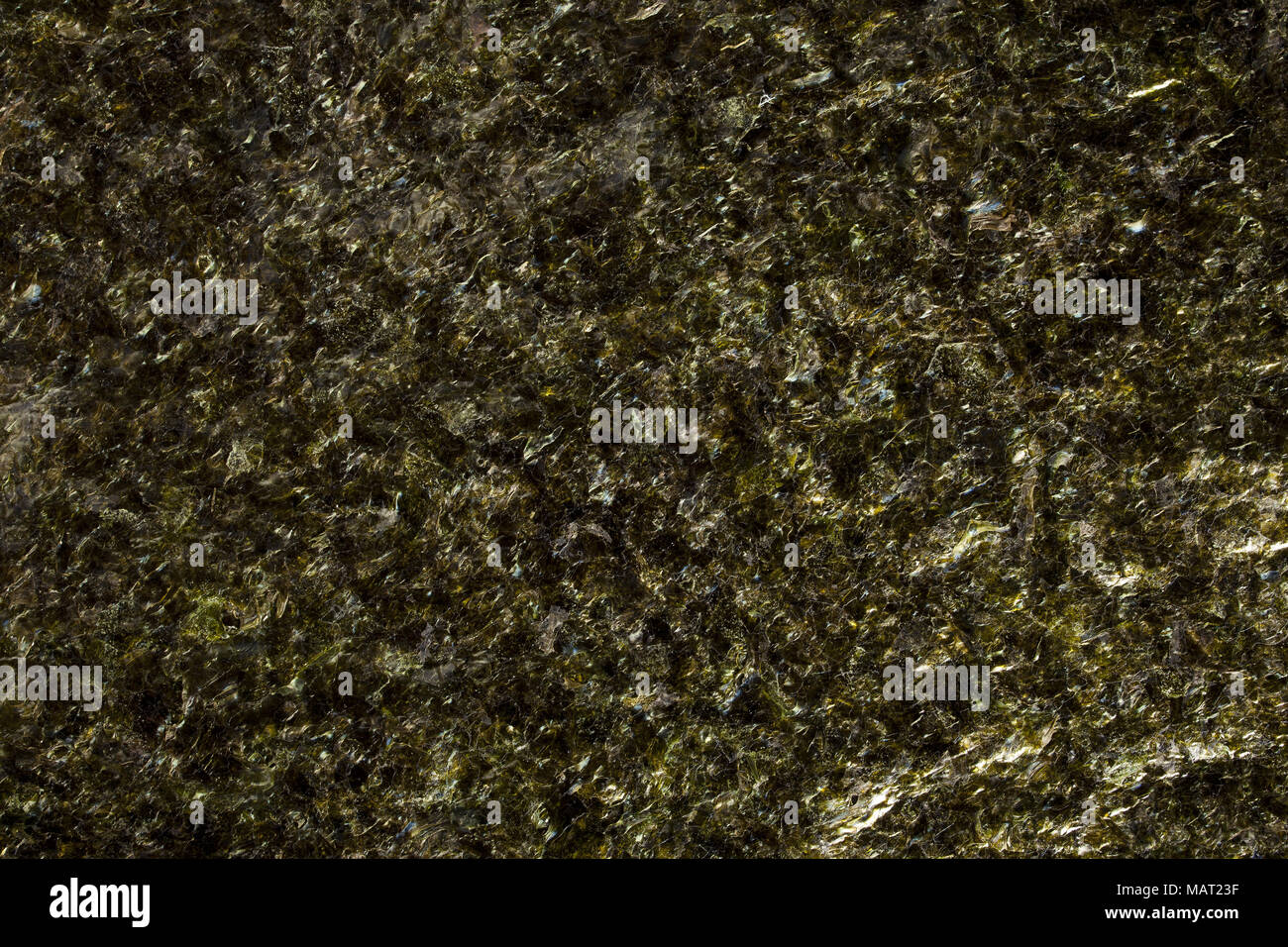 seaweed background texture Stock Photo - Alamy
