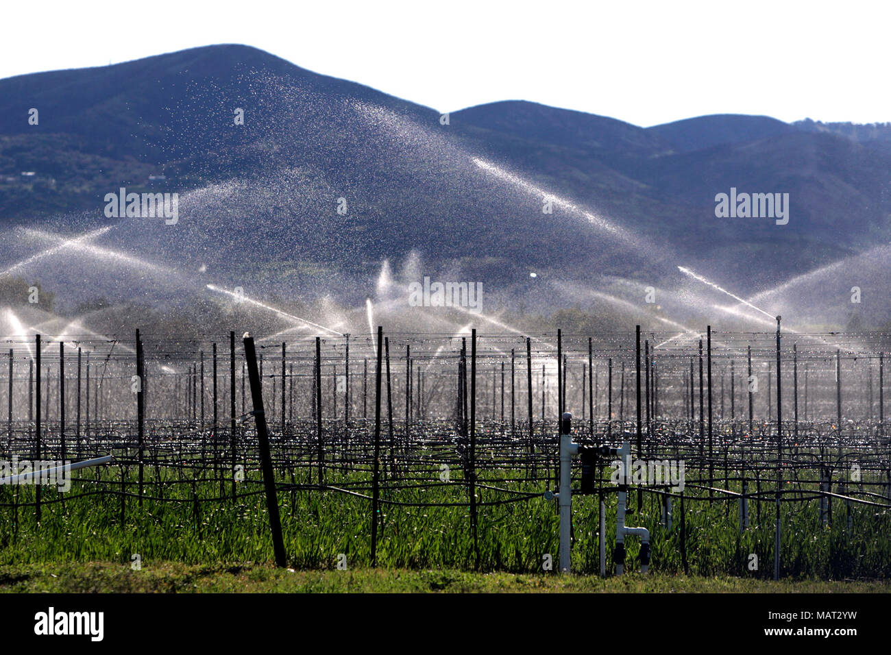 Water Road Sprinkler High Resolution Stock Photography and Images - Alamy