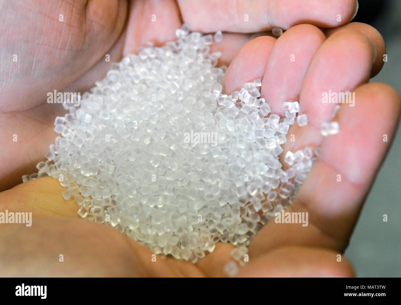 FILED - 26 February 2018, Germany, Guben: Plant manager Robert Bednarek ...