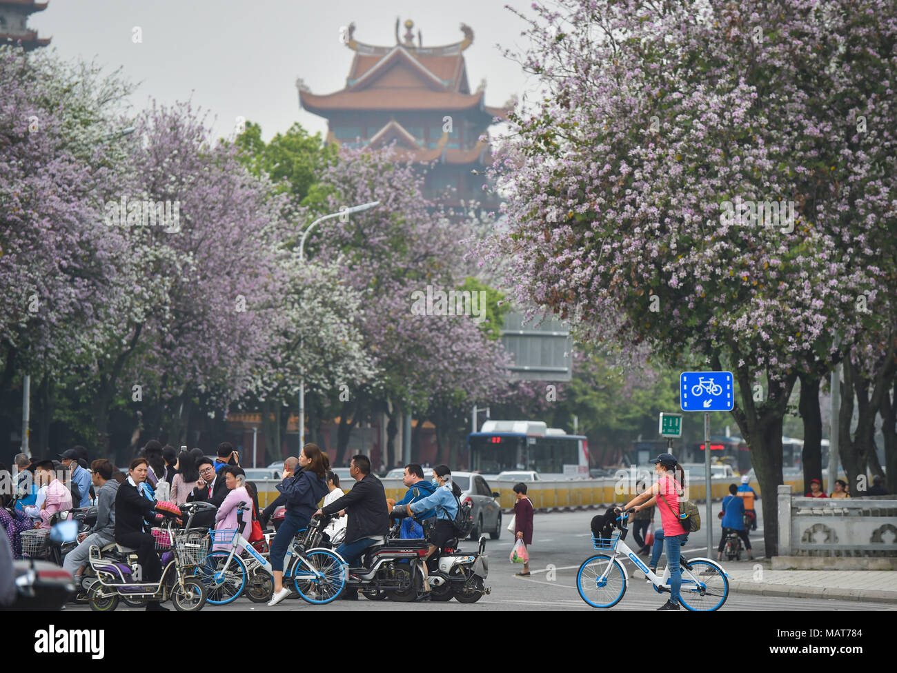 Southeast china's fujian province hi-res stock photography and images ...