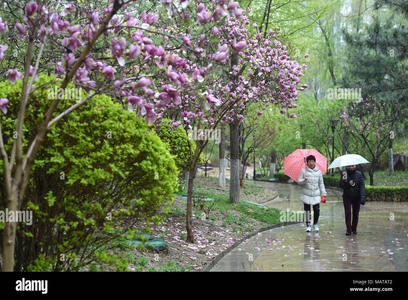 China weather warning system hi-res stock photography and images - Alamy