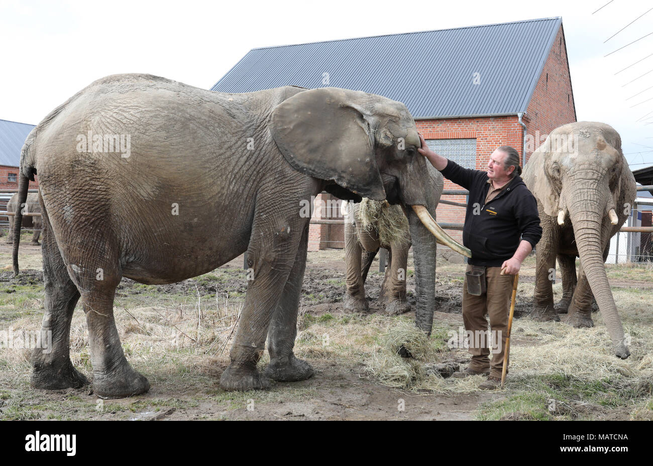 Timba hi-res stock photography and images - Alamy