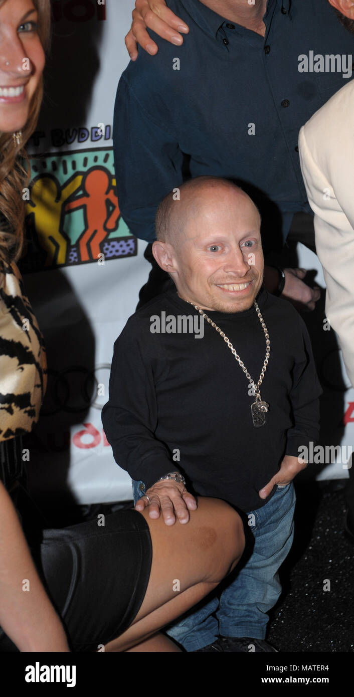 MIAMI BEACH, FL - NOVEMBER 21: Actor Verne Troyer arrives at the Best ...