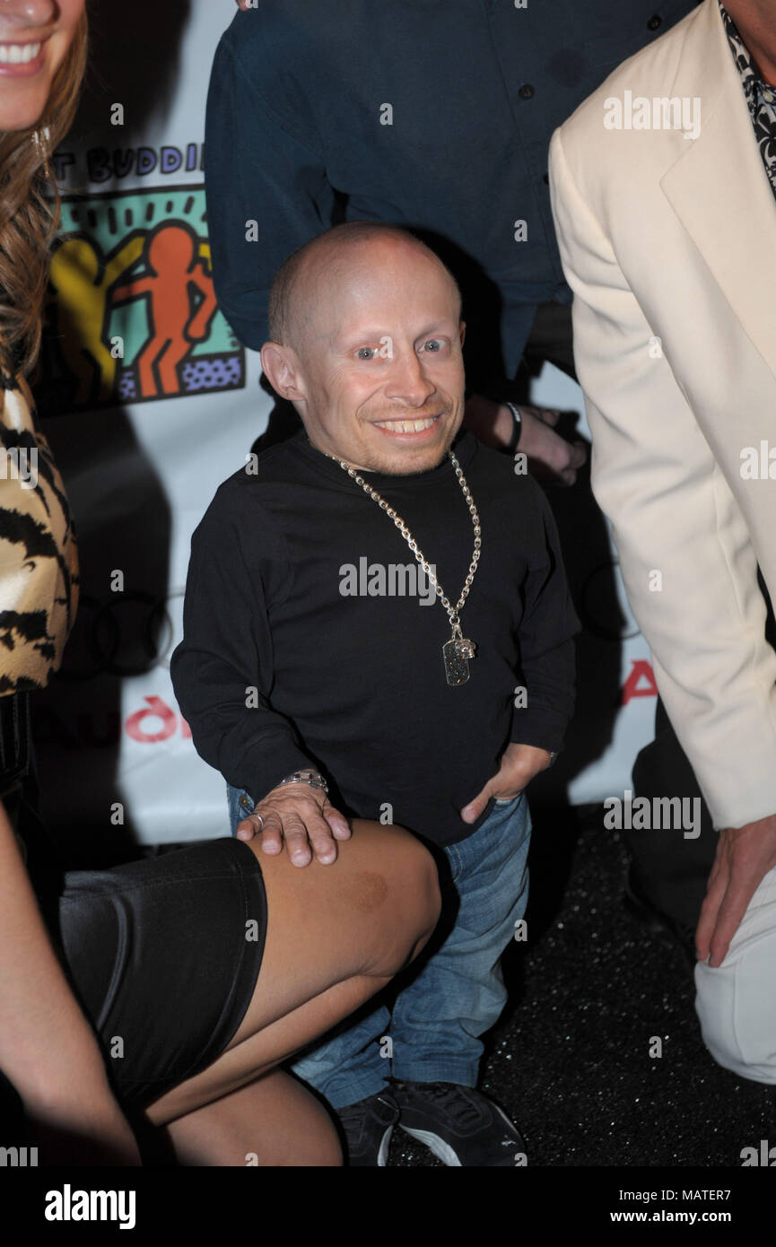 MIAMI BEACH, FL - NOVEMBER 21: Actor Verne Troyer arrives at the Best ...