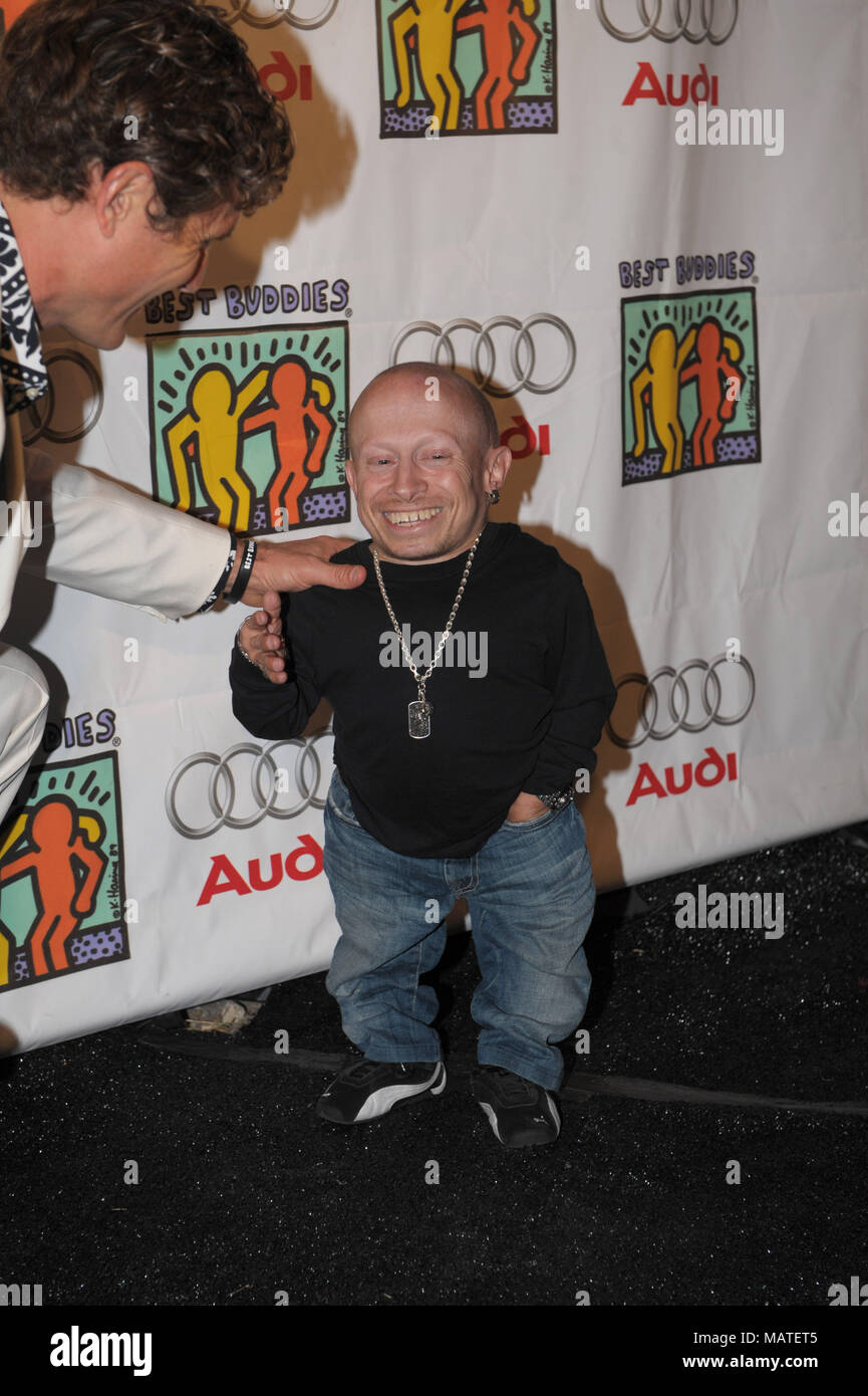 MIAMI BEACH, FL - NOVEMBER 21: Actor Verne Troyer arrives at the Best ...