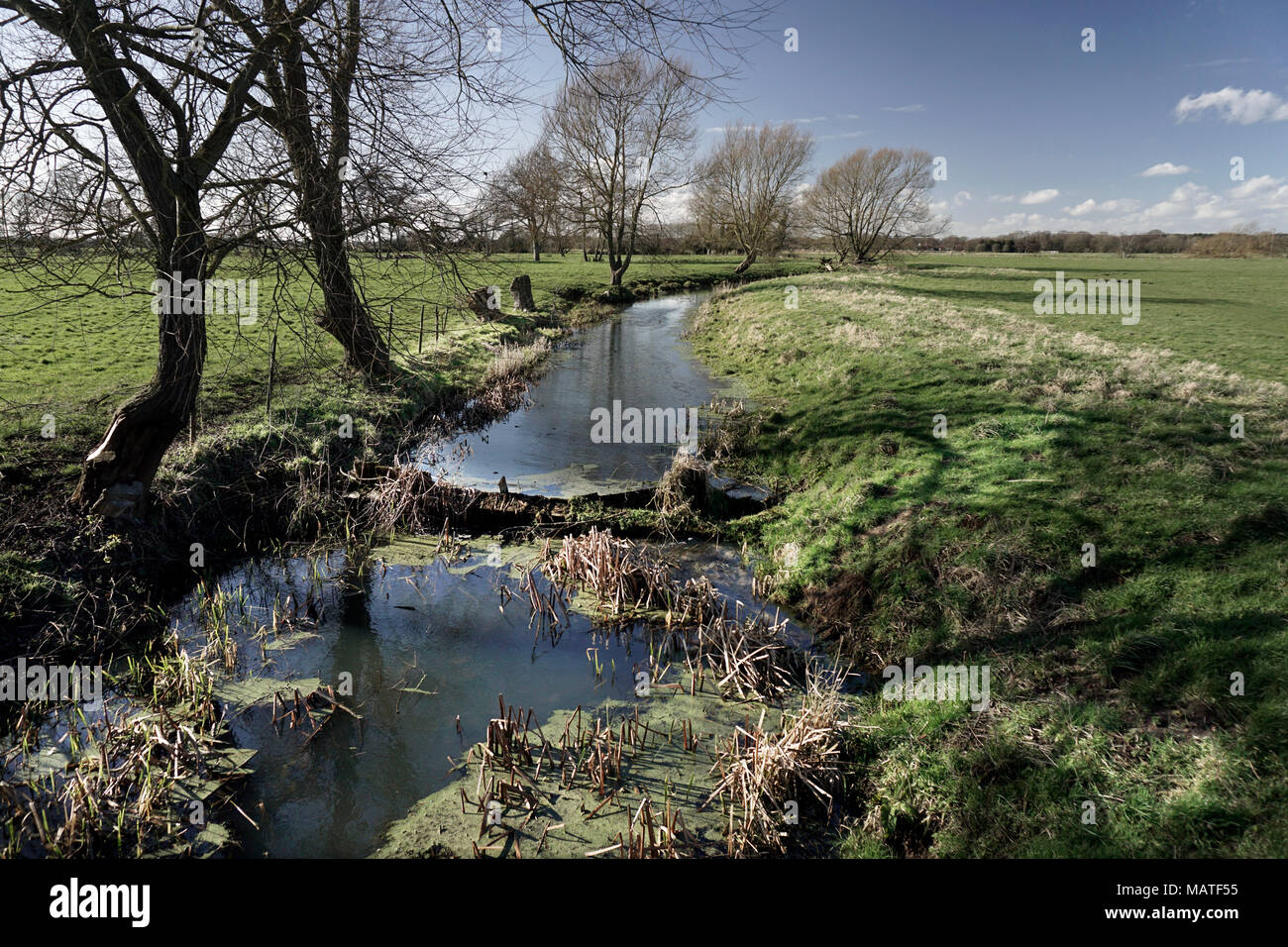 Inland Marsh High Resolution Stock Photography and Images - Alamy