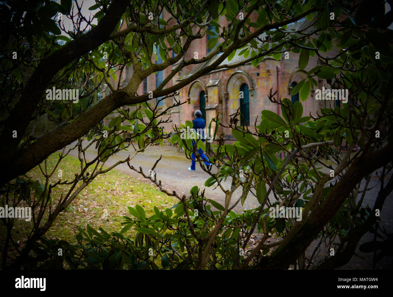 Church trees leaf branches hi-res stock photography and images - Alamy