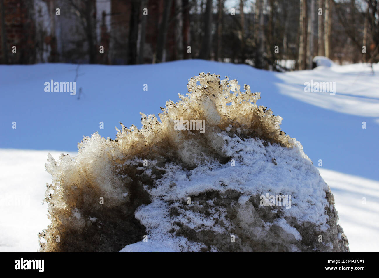 melting dirty snow piled up by a bunch after cleaning the road. Spring ...