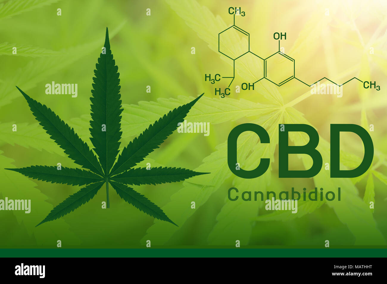 Cannabis thc chemistry formula hi-res stock photography and images - Alamy