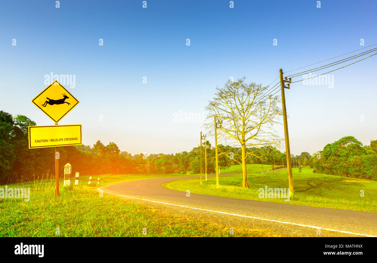 Yellow traffic sign with deer jumping inside the sign and have message ...