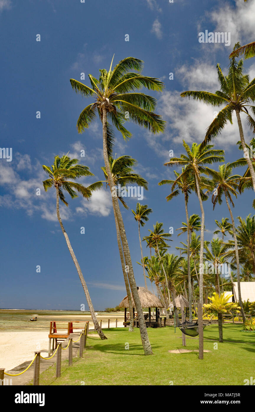 The tranquil beaches of the South Pacific Ocean really are paradise ...