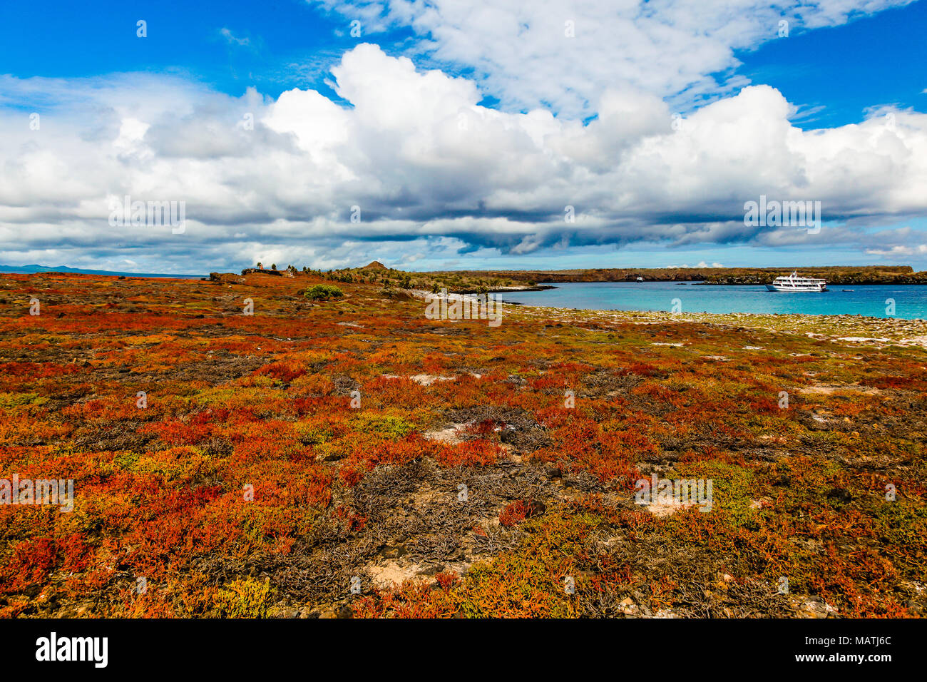 Sky and blue sea, white clouds and rocky surface of Isla Plaza Sur ...