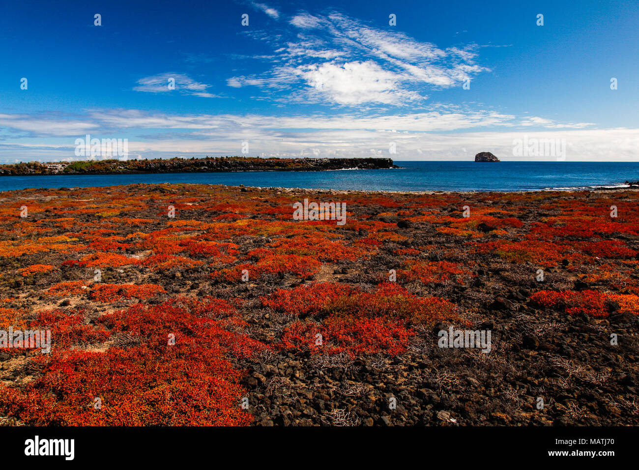 Sky and blue sea, white clouds and rocky surface of Isla Plaza Sur ...