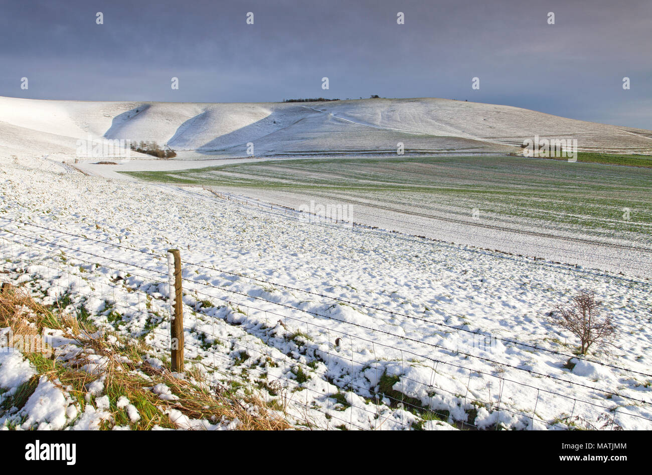 Light dusting of snow hi-res stock photography and images - Alamy