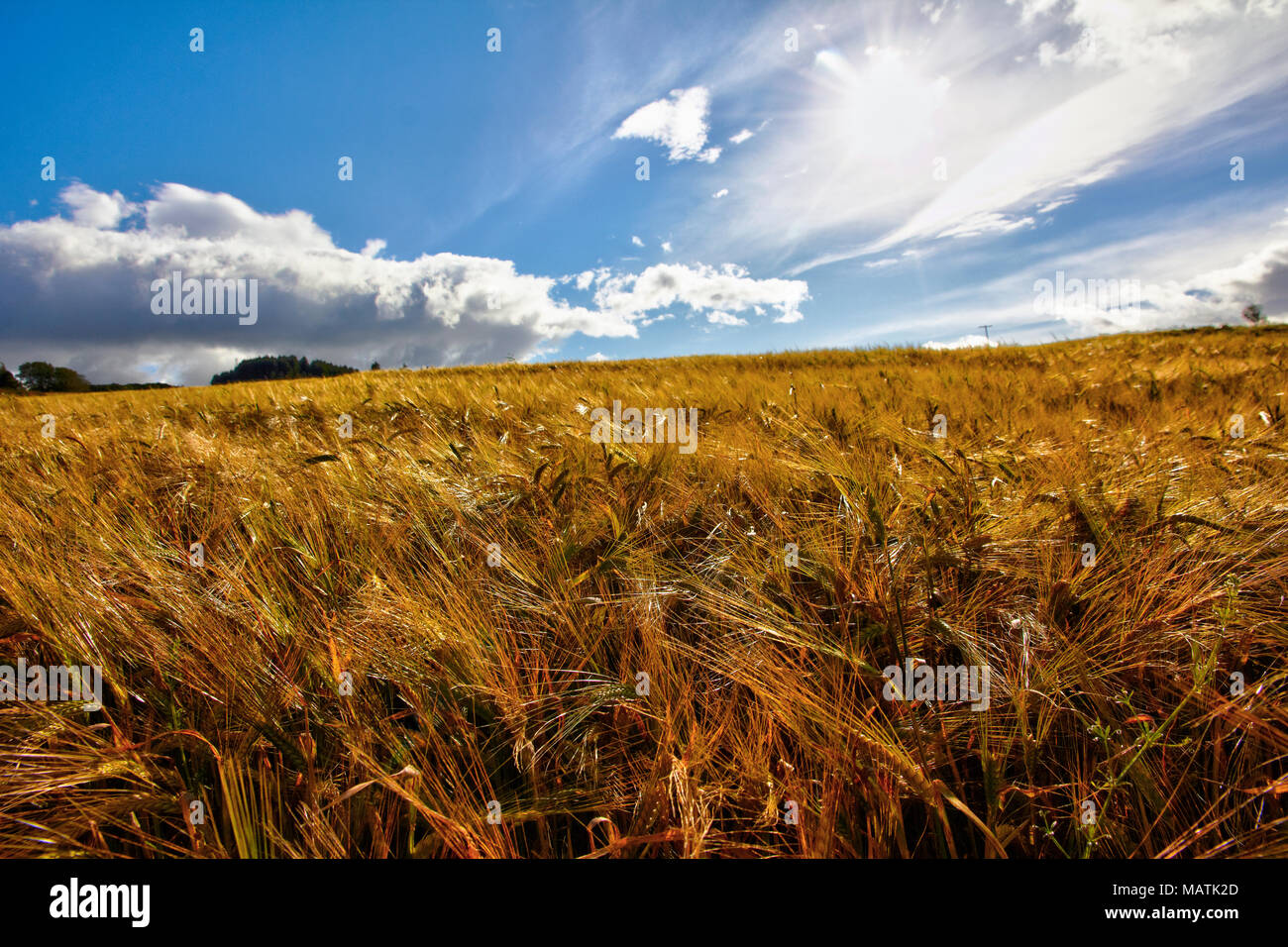Langbank on the River Clyde Stock Photo - Alamy