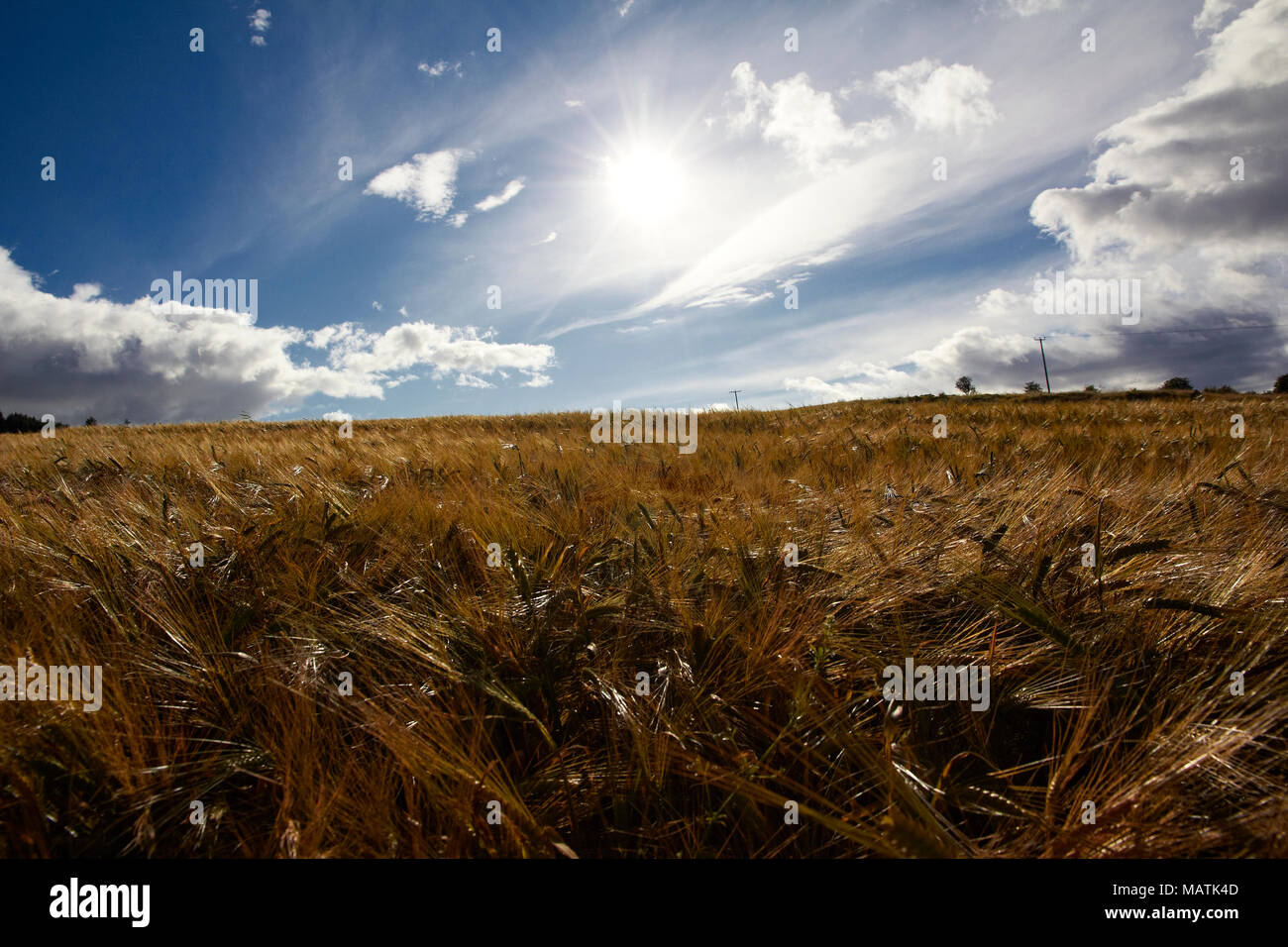 Langbank on the River Clyde Stock Photo - Alamy