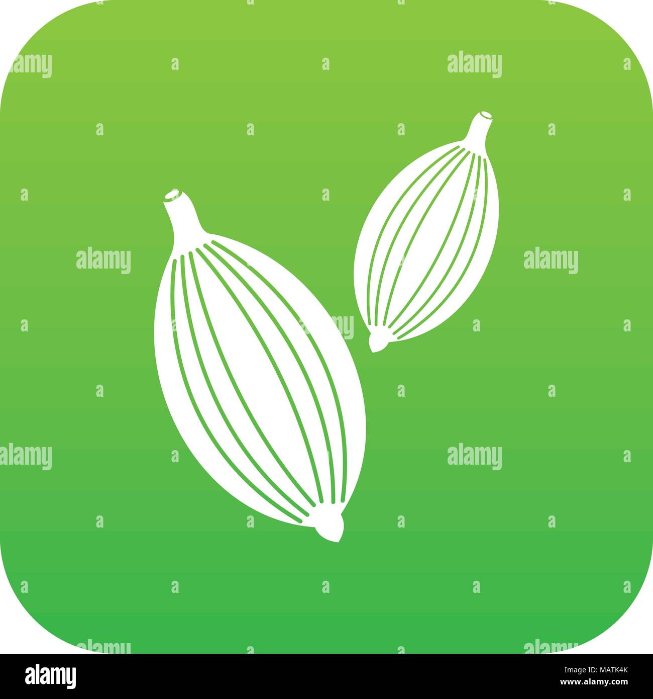 Cardamom pods icon digital green Stock Vector Image & Art - Alamy