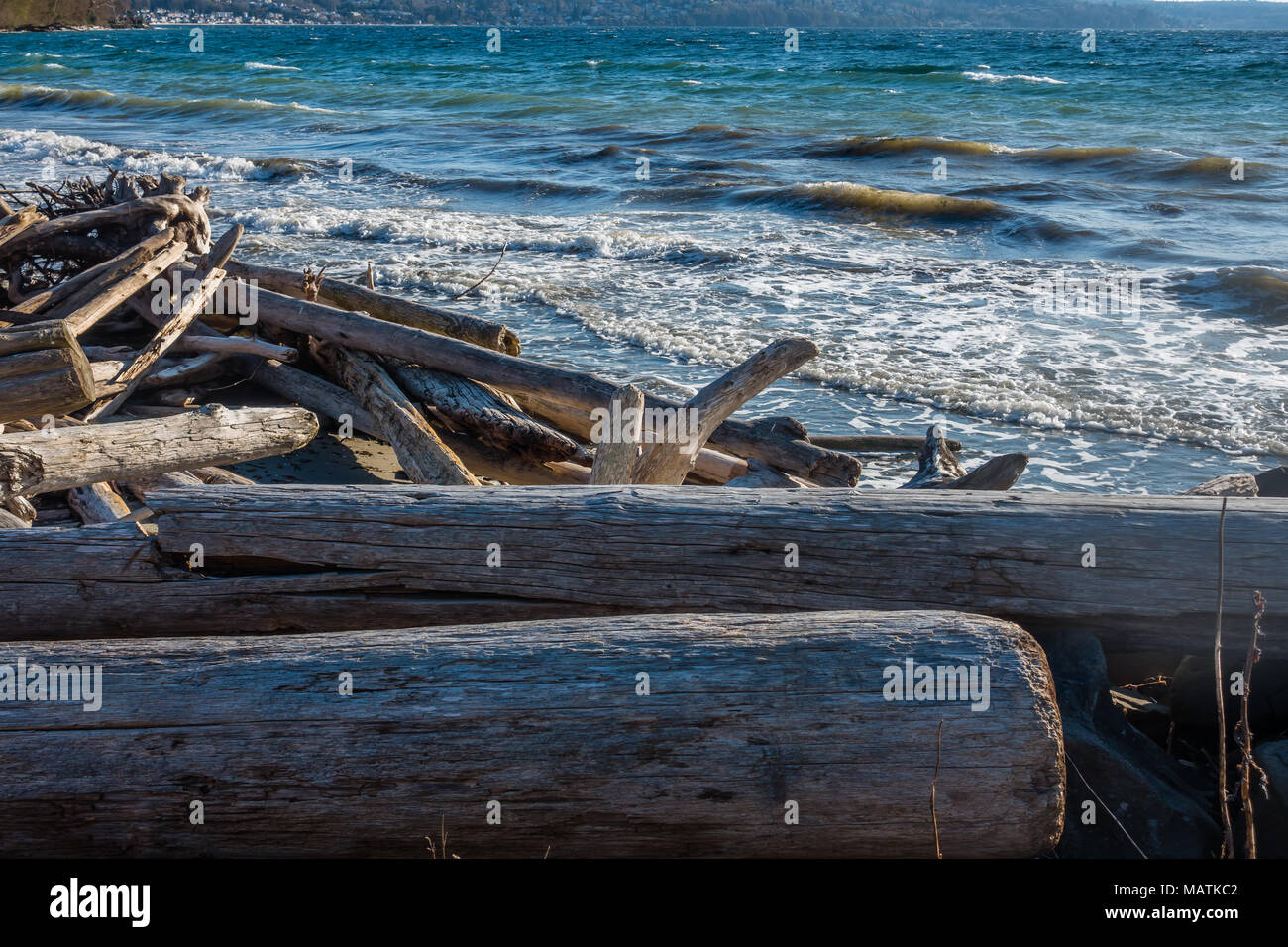 The sea rolls onto a shore littered with driftwood logs Stock Photo - Alamy