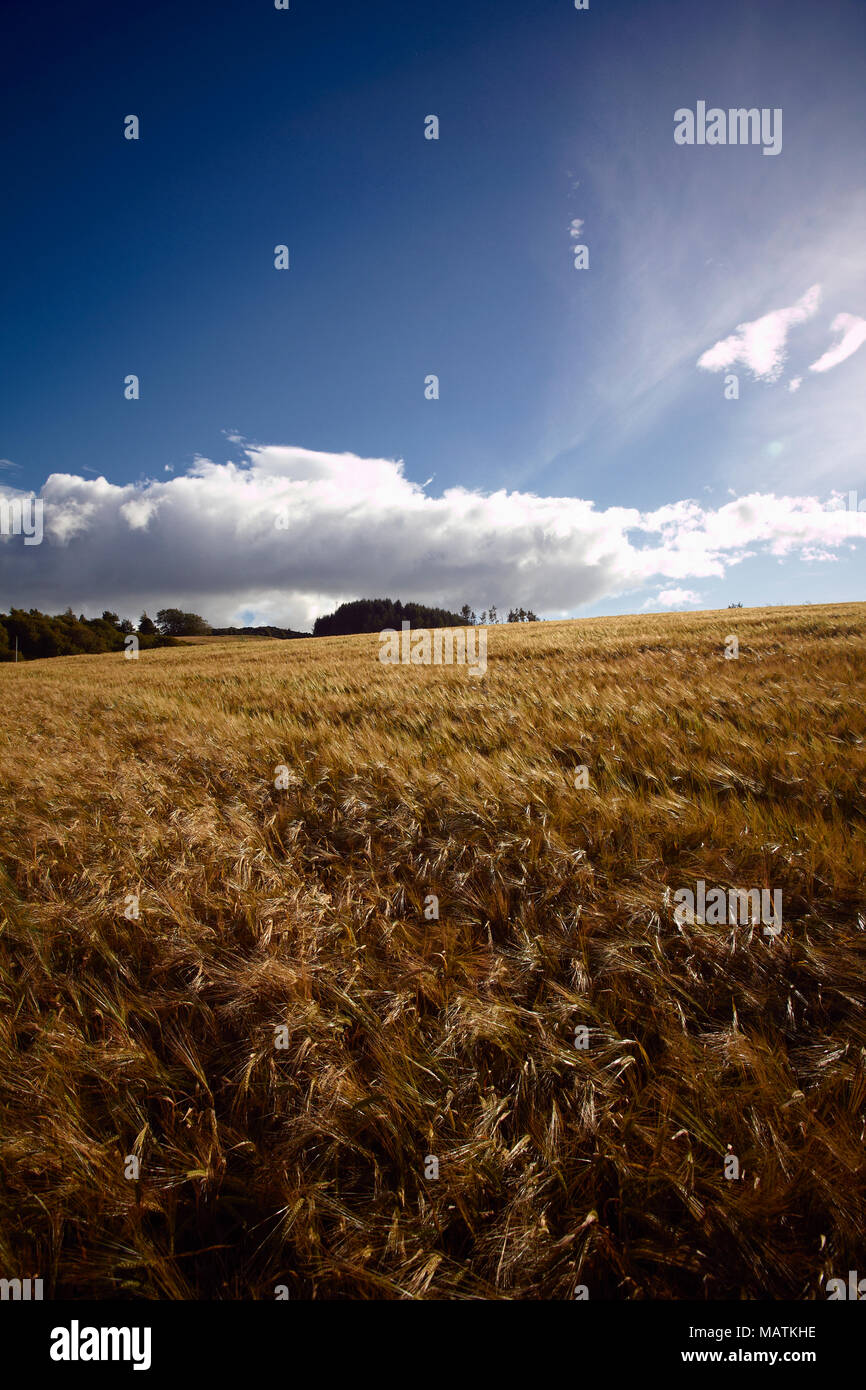 Langbank scotland hi-res stock photography and images - Alamy