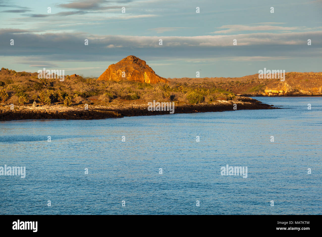 Plaza sur isla ecuador hi-res stock photography and images - Alamy