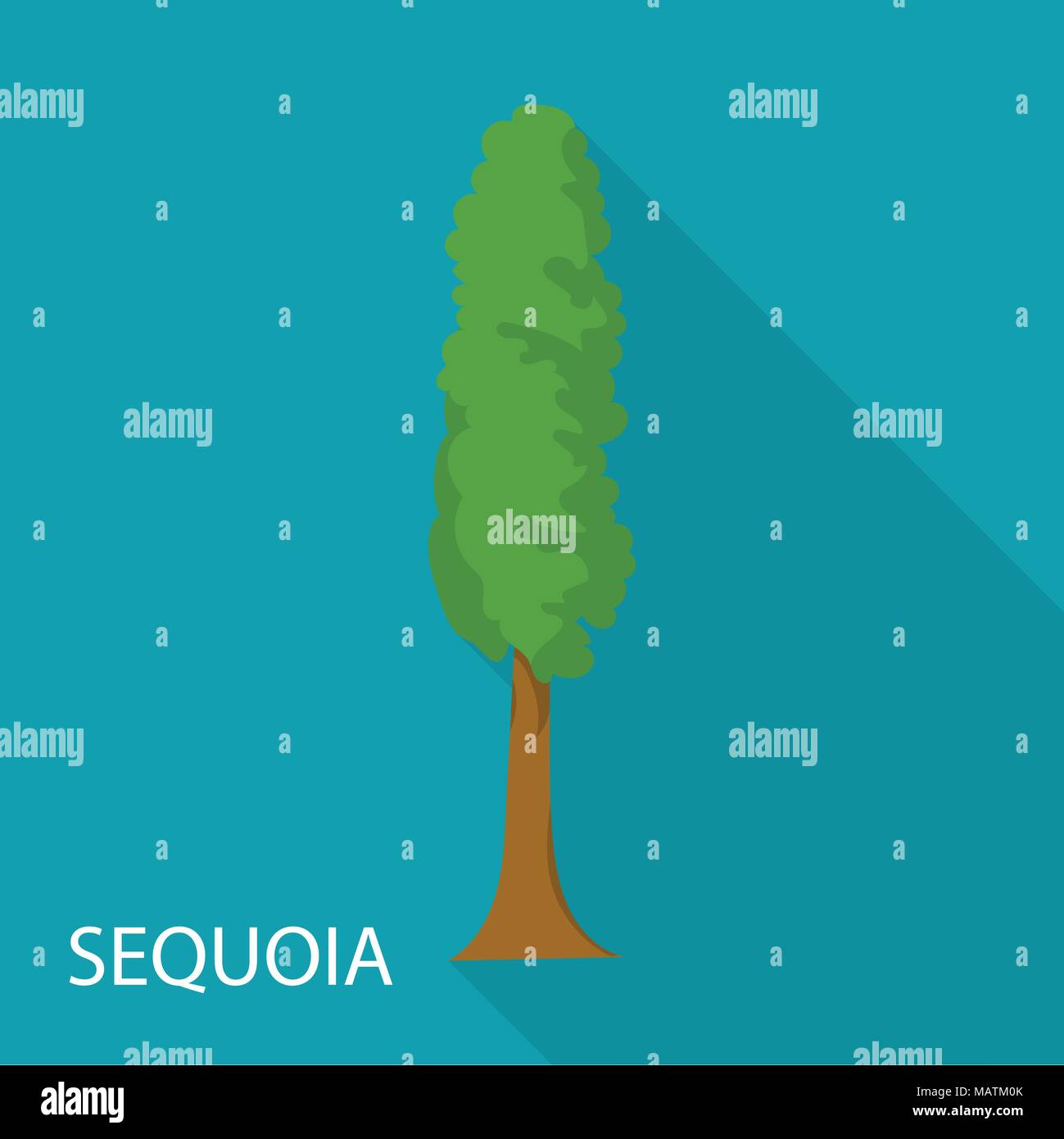 Sequoia icon vector Stock Vector Images - Alamy