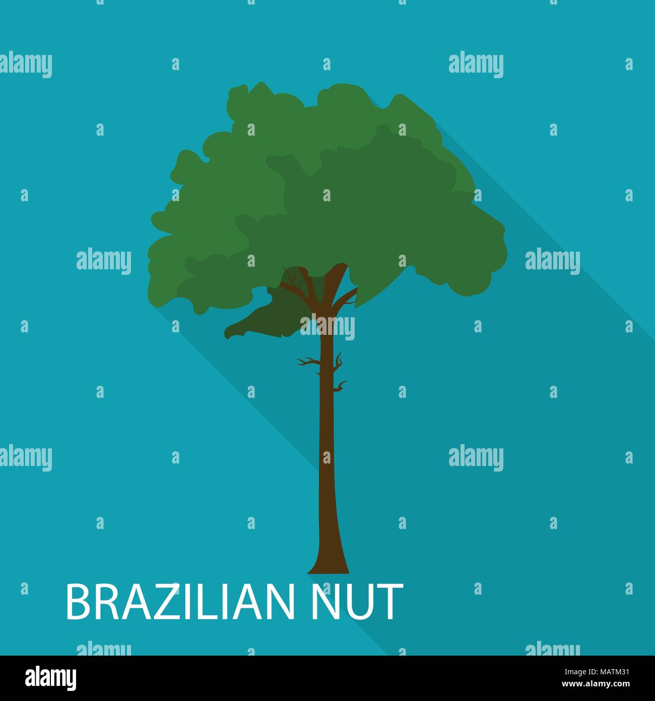 Brazilian nut icon, flat style Stock Vector Image & Art - Alamy