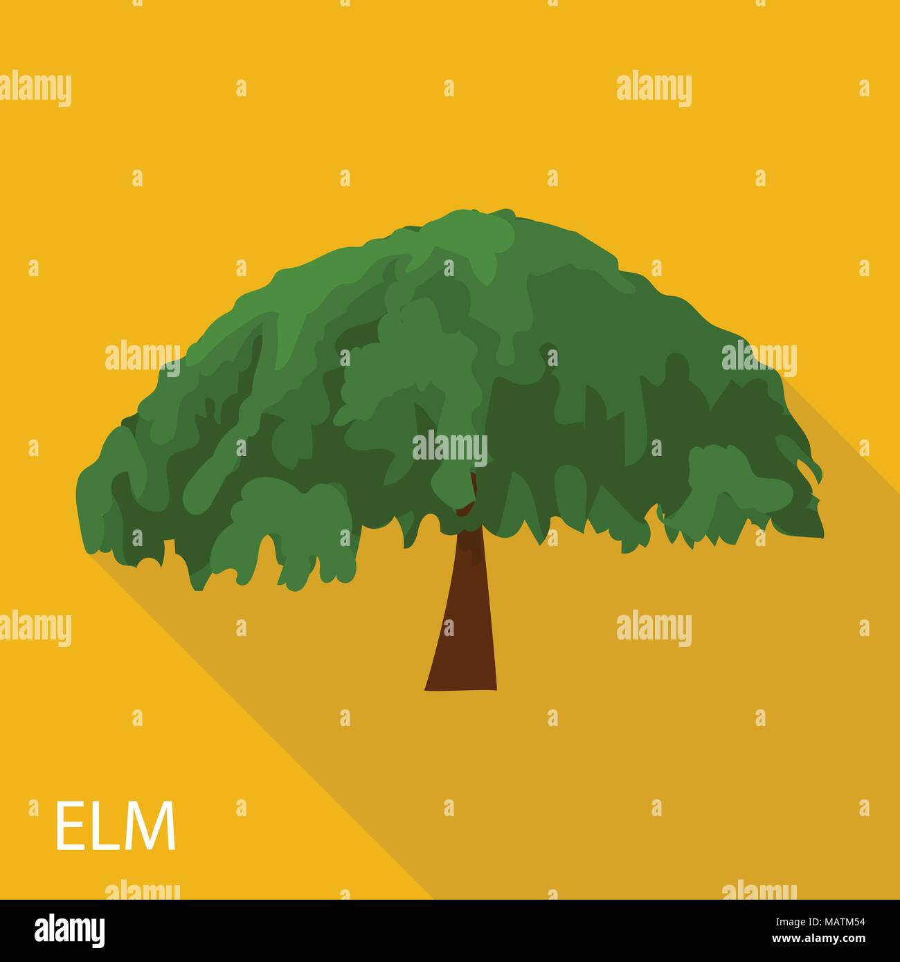 Large elm tree Stock Vector Images - Alamy Large elm tree Stock Vector Images - Alamy
