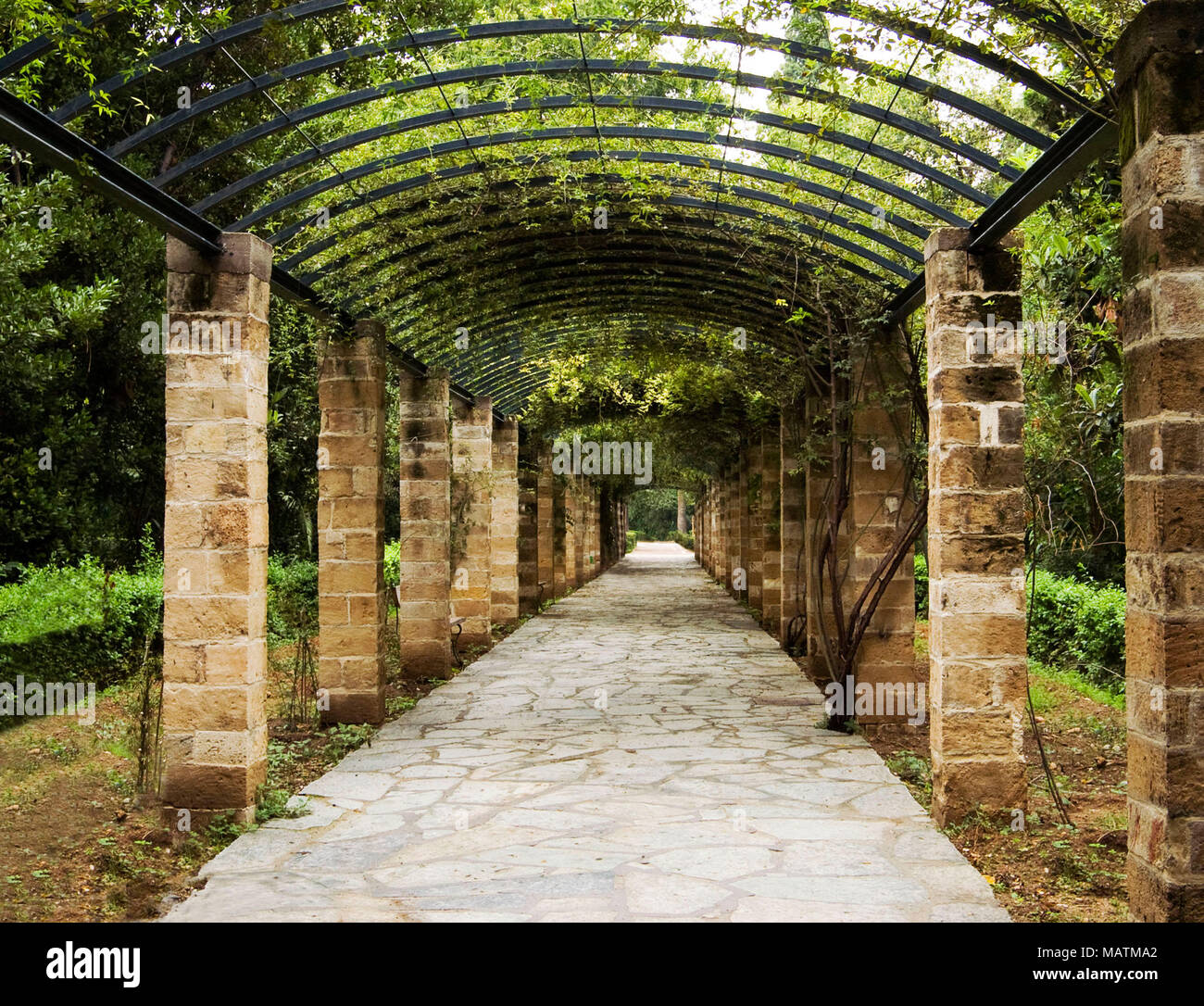 Pergola in athens greece hi-res stock photography and images - Alamy