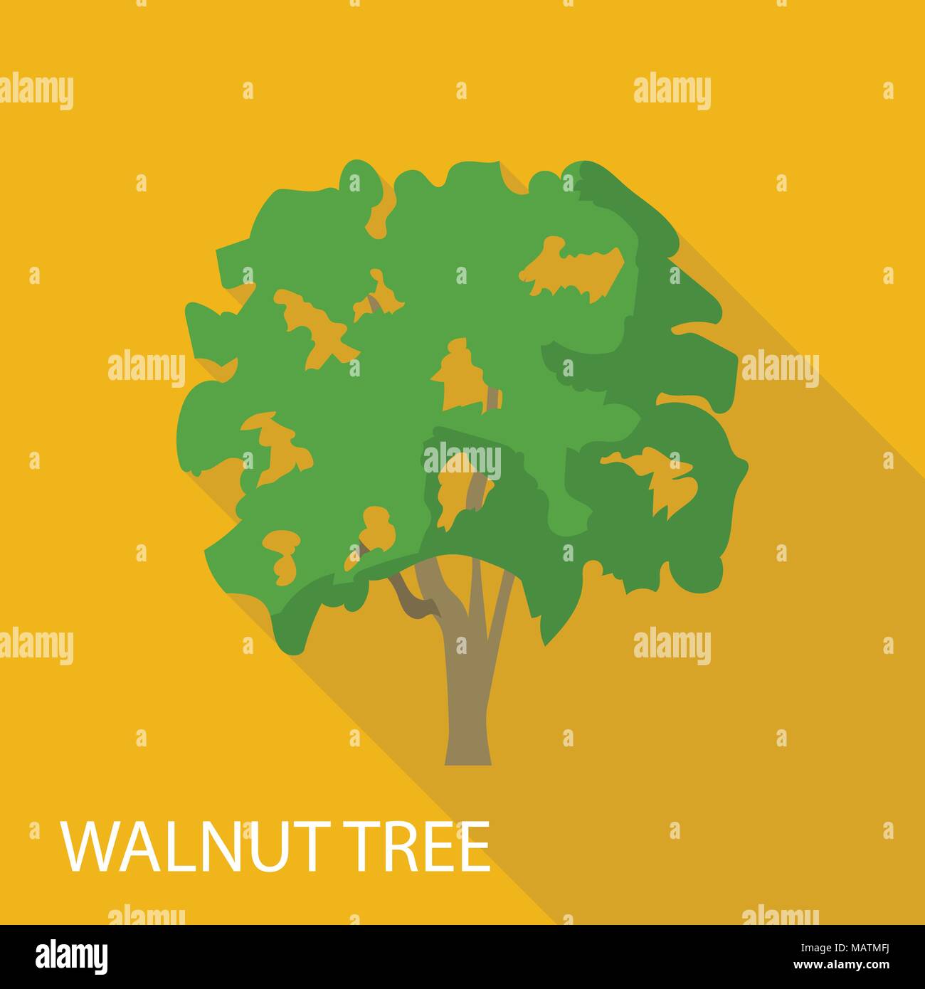 Walnut tree icon, flat style Stock Vector Image & Art - Alamy