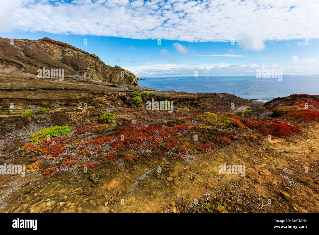 Isla pitt hi-res stock photography and images - Alamy