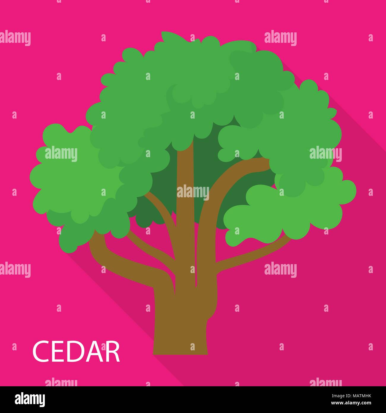 Cedar icon, flat style Stock Vector Image & Art - Alamy