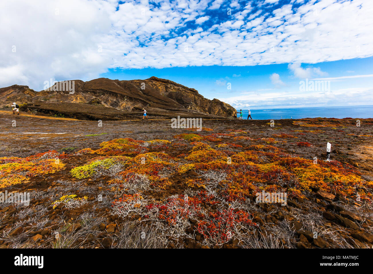 Isla pitt hi-res stock photography and images - Alamy