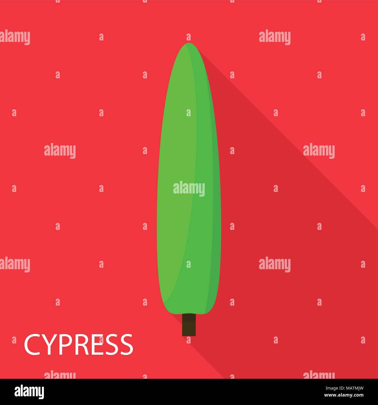 Cypress icon, flat style Stock Vector Image & Art - Alamy