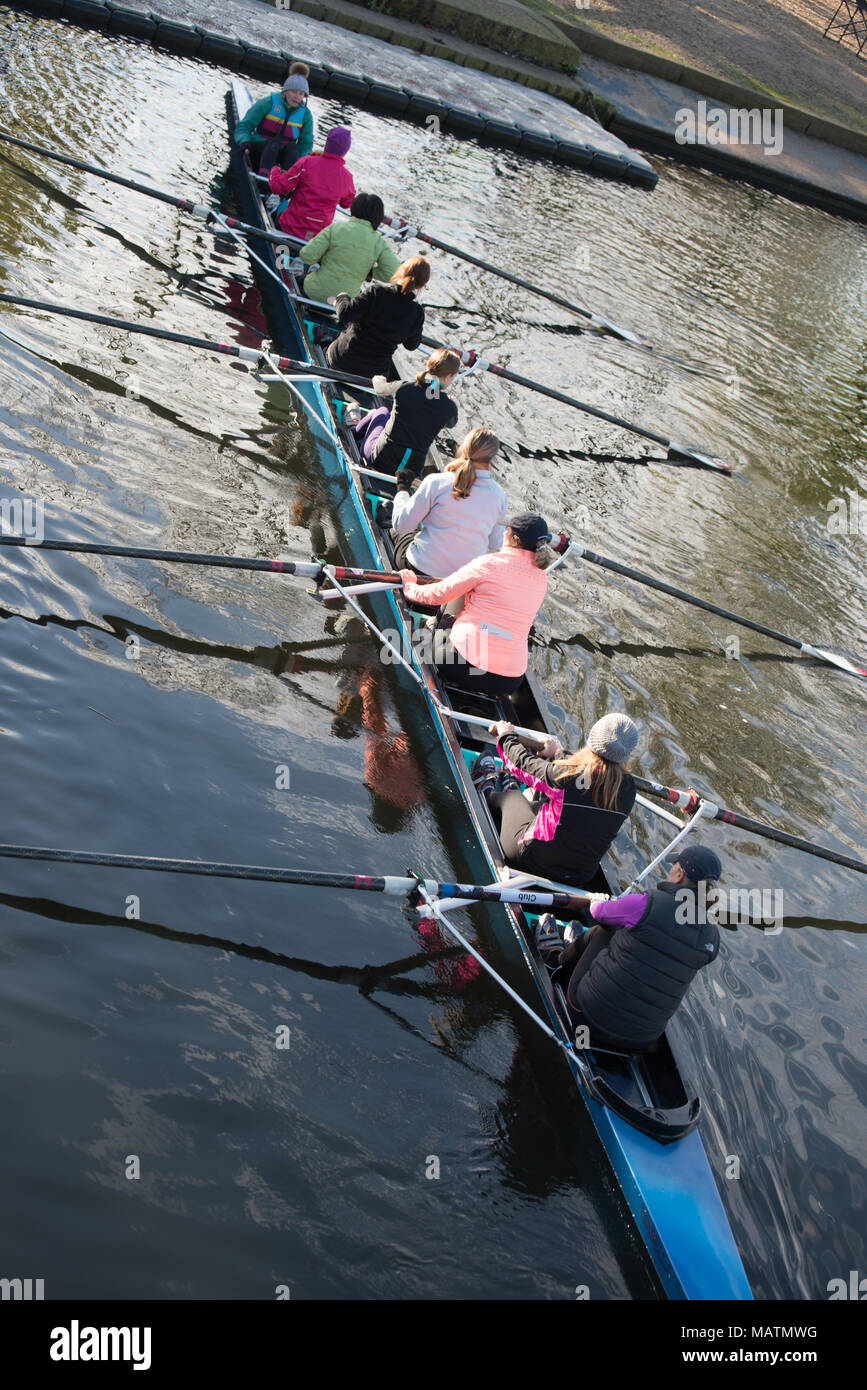 Ladies 8 rowing team with blades dipping into river Avon Stock Photo ...