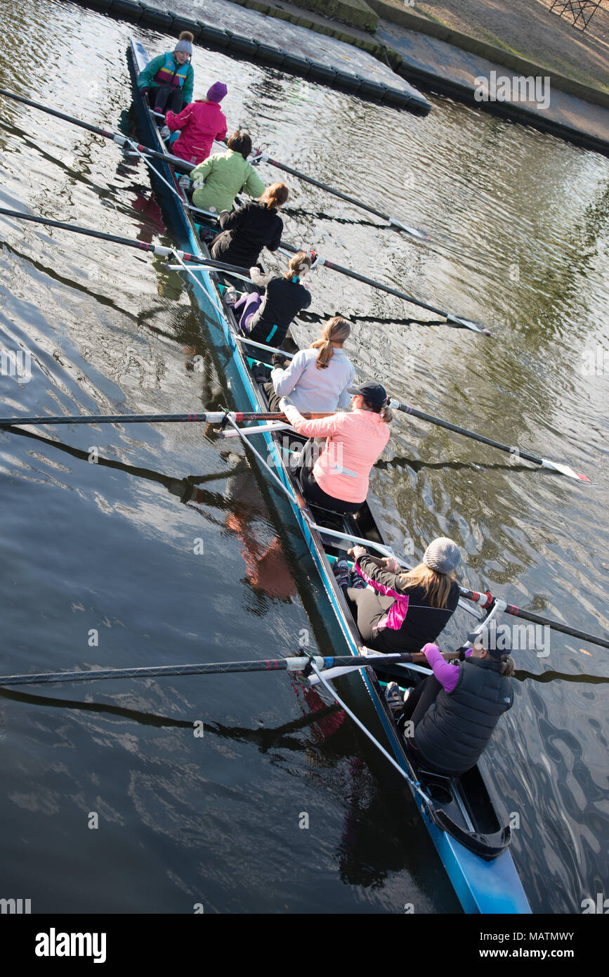 Ladies 8 rowing team with blades dipping into river Avon Stock Photo ...