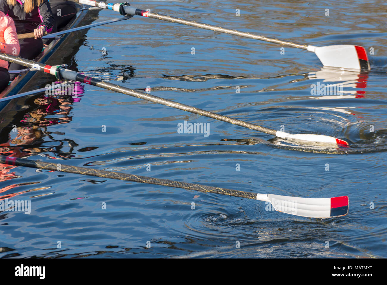 Rowing blade hi-res stock photography and images - Alamy