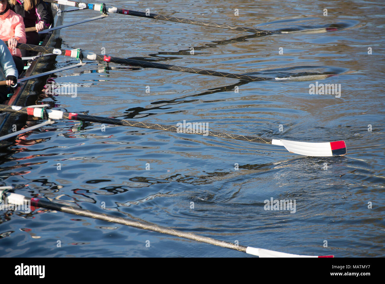 Ladies 8 rowing team with blades dipping into river Avon Stock Photo ...
