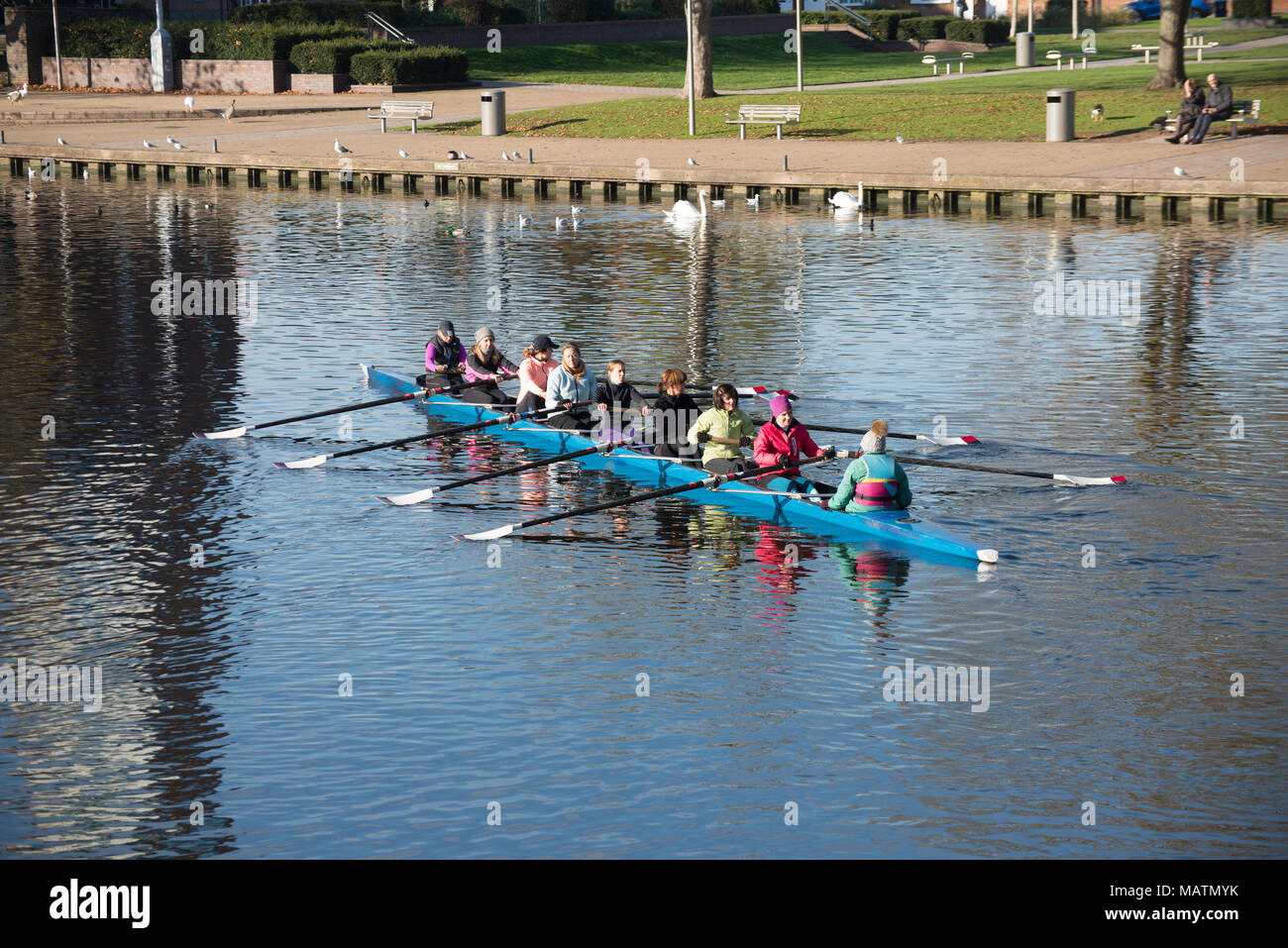 Ladies 8 rowing team with blades dipping into river Avon Stock Photo ...