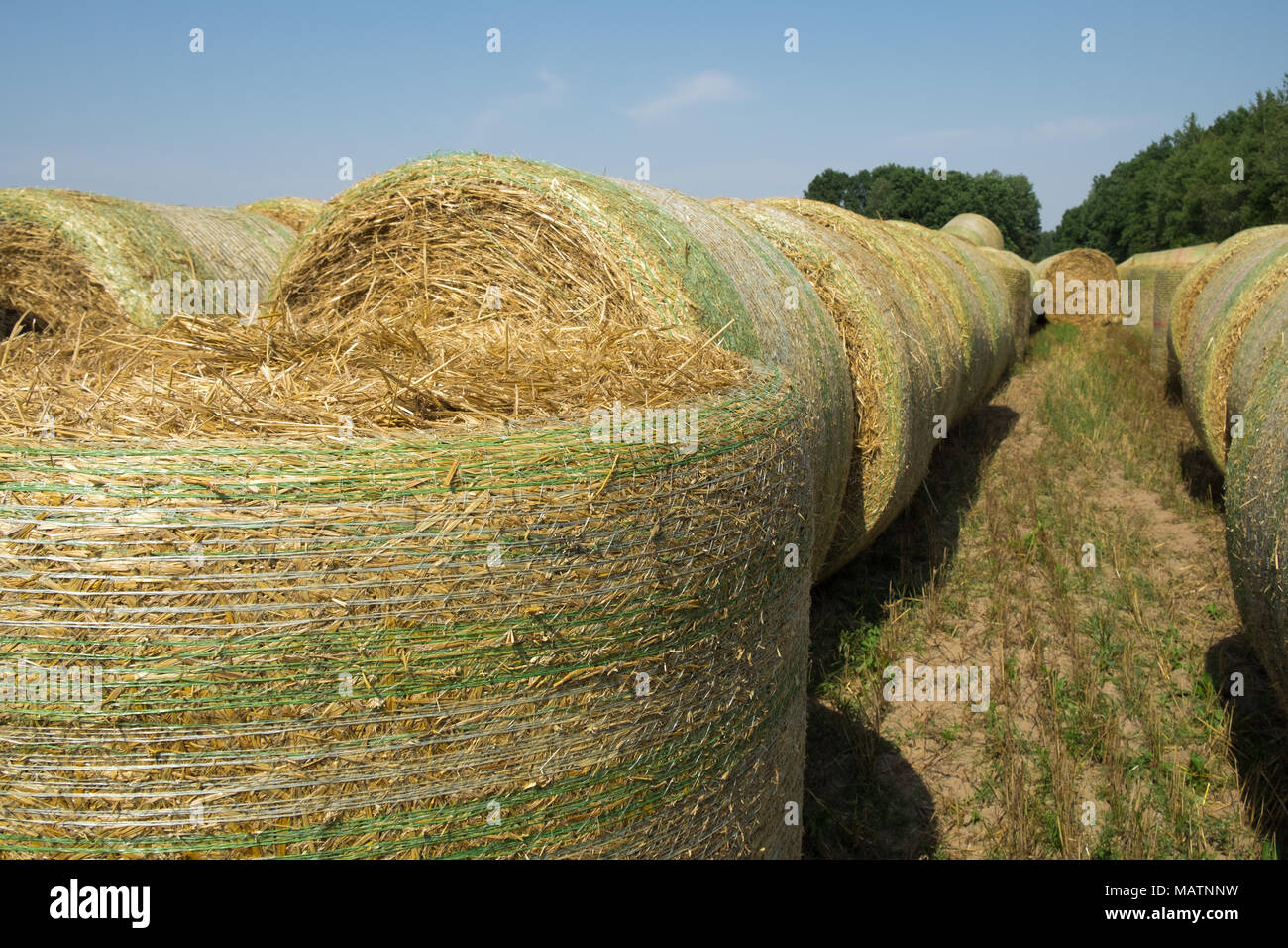 Close up yellow straw packed hi-res stock photography and images - Alamy