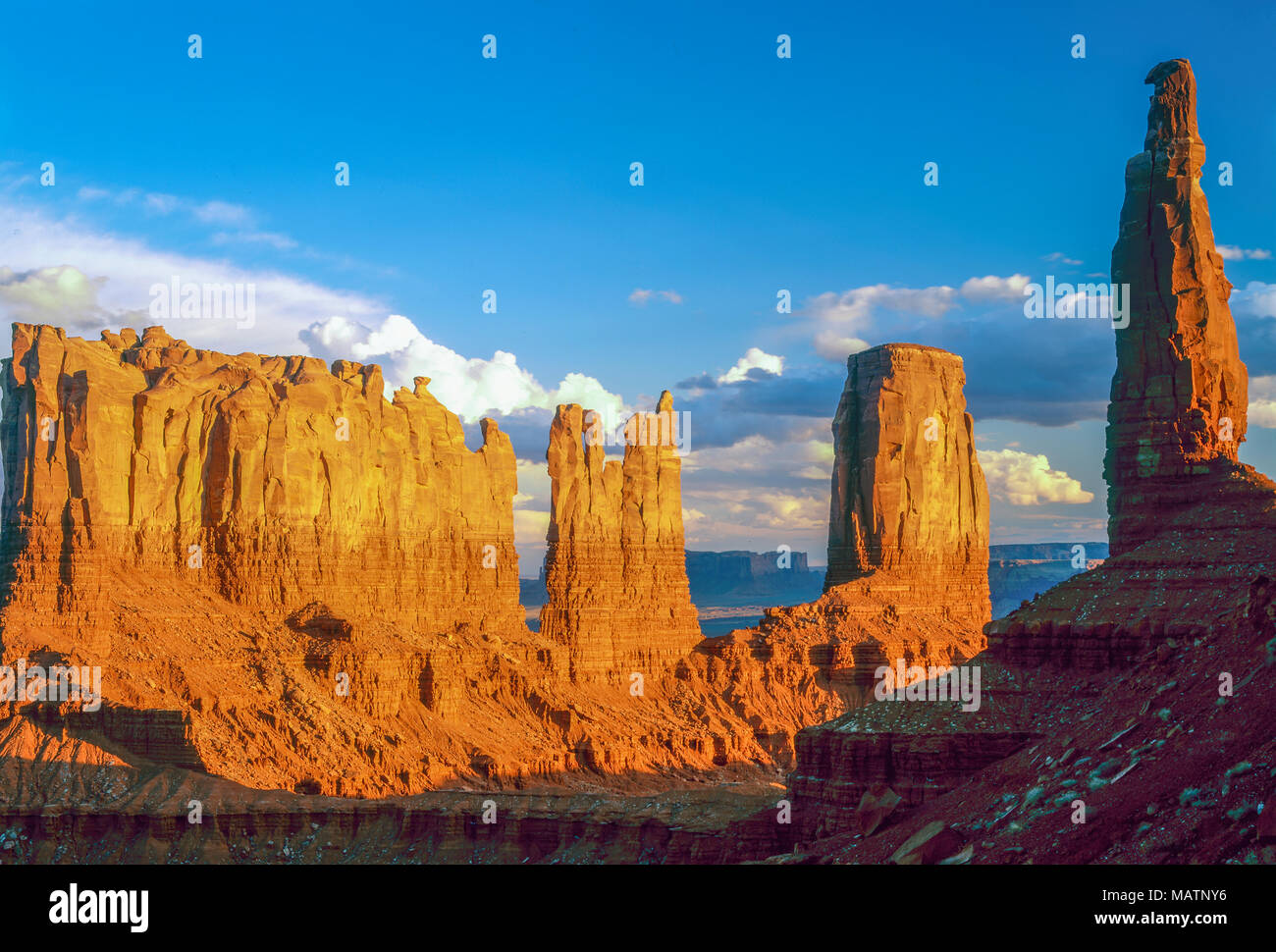 Bear and rabbit hi-res stock photography and images - Alamy