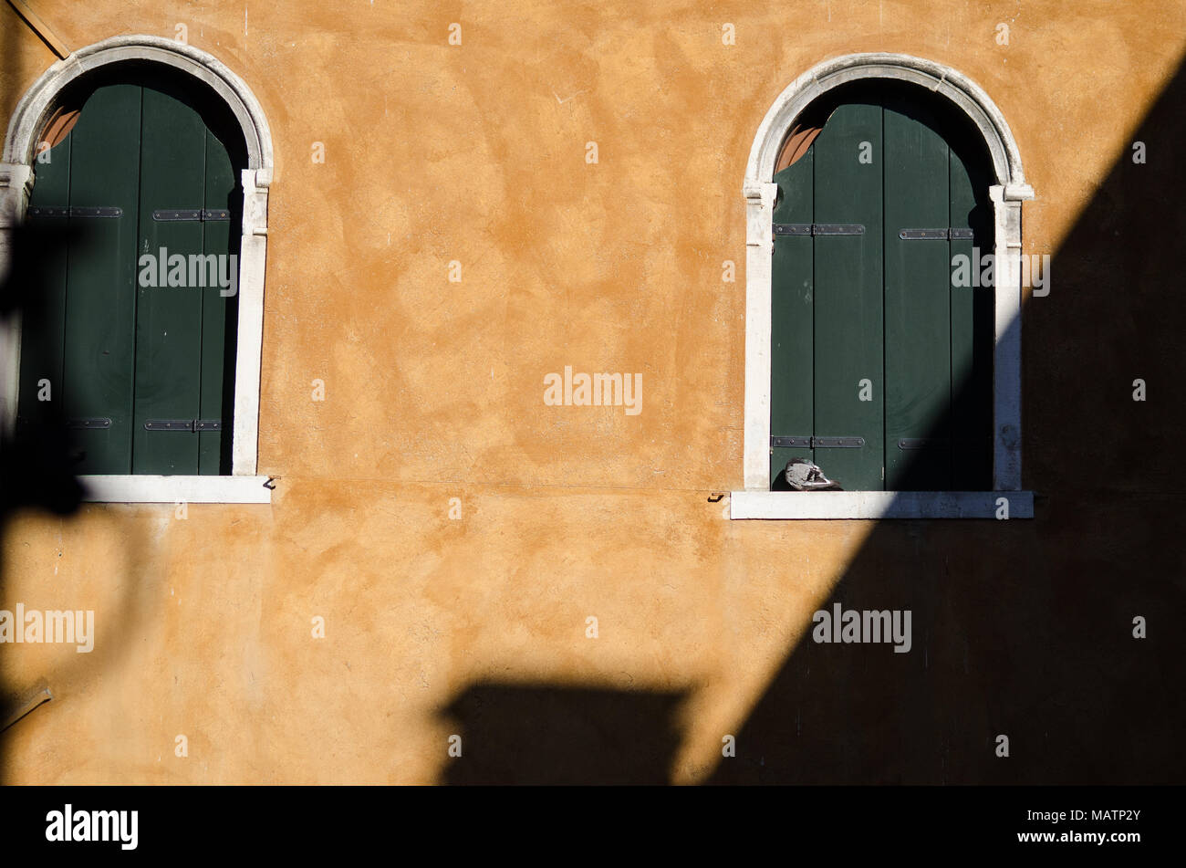 Pigeon on window hi-res stock photography and images - Alamy